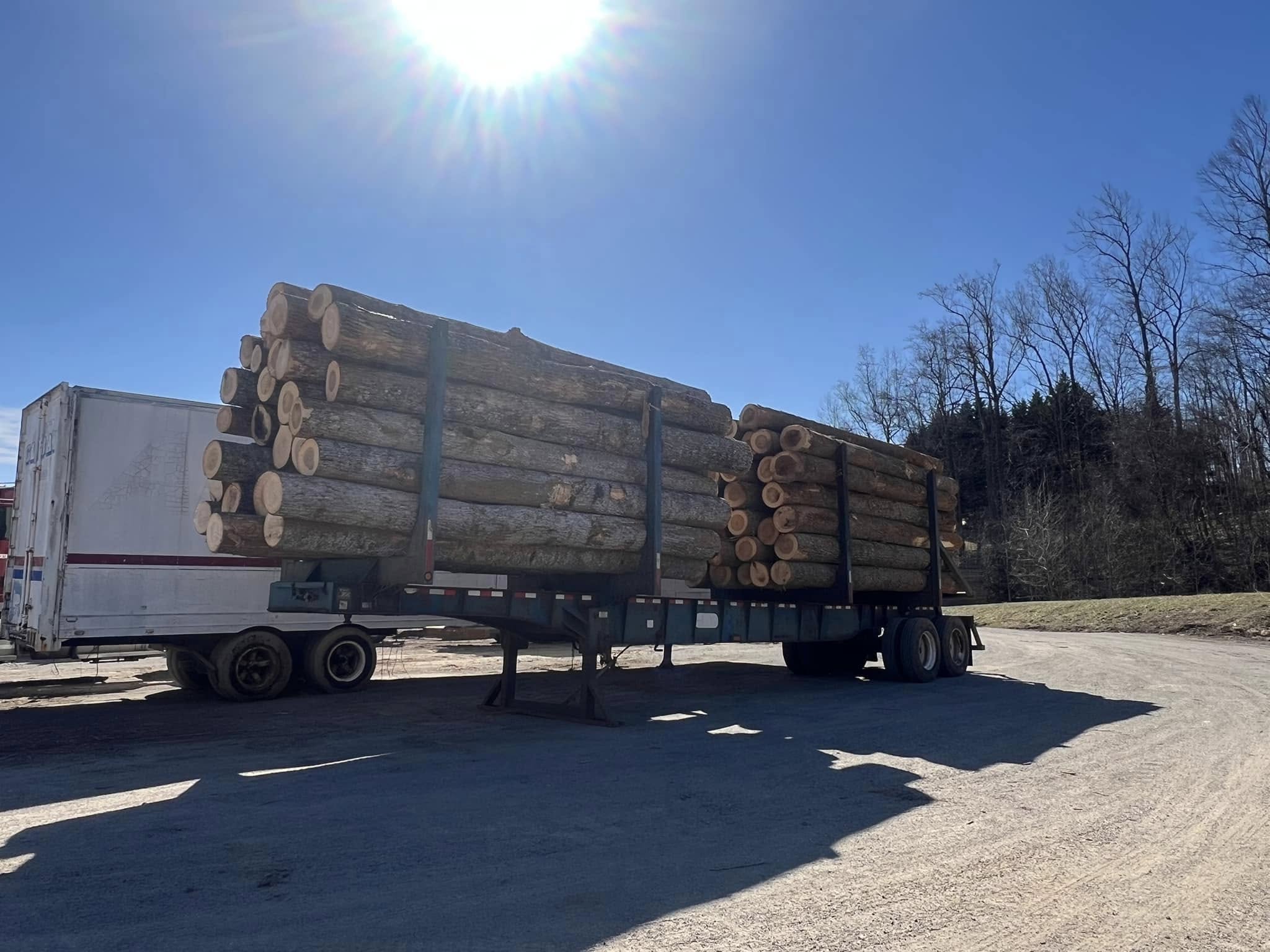 Reaves Timber is Now Buying Poplar Peeler Logs – $60/Ton Delivered ...